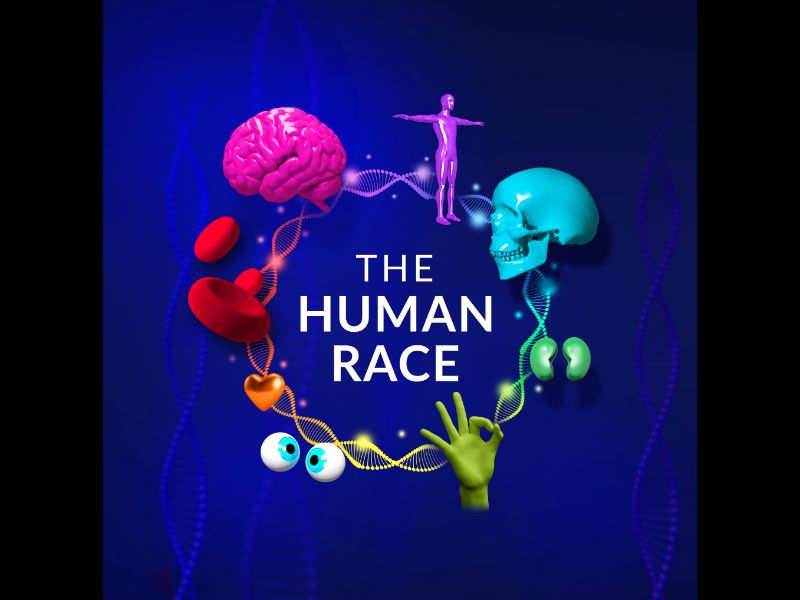 The Human Race - Catalyst Teambuilding